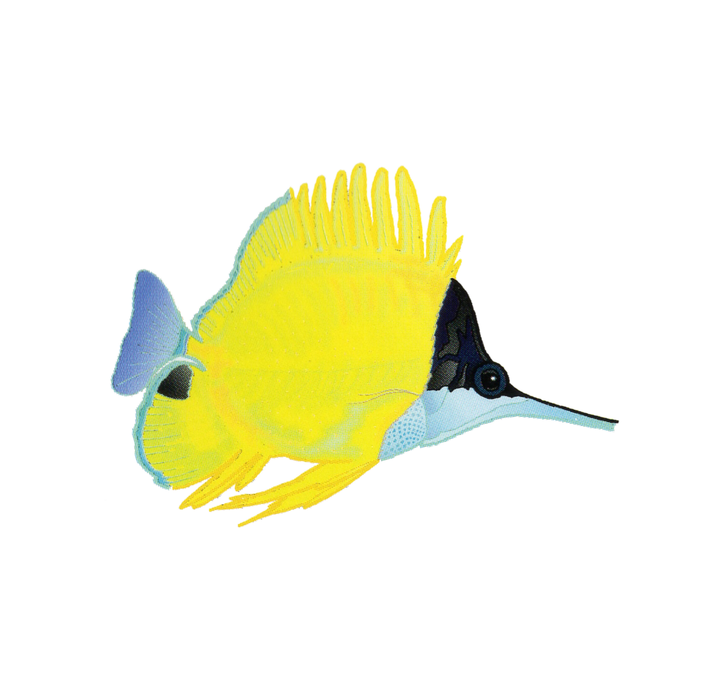 Splash Zone | Ocean Conservation by Linda Arnold Music